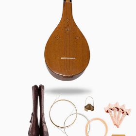 Persian Quality Setar (Sitar), String Musical Instrument - Shop Iran Art
