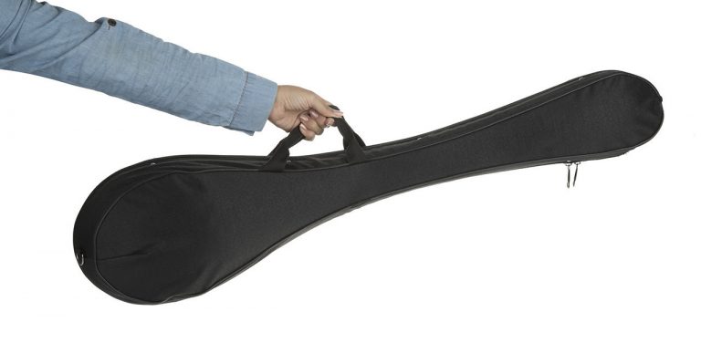 Persian Quality Setar (Sitar), String Musical Instrument - Shop Iran Art